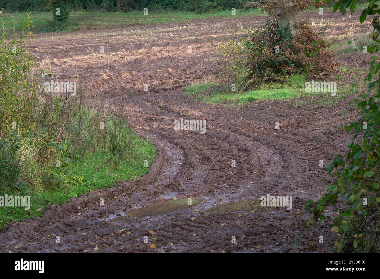 Muddy field entrance hi-res stock photography and images - Alamy