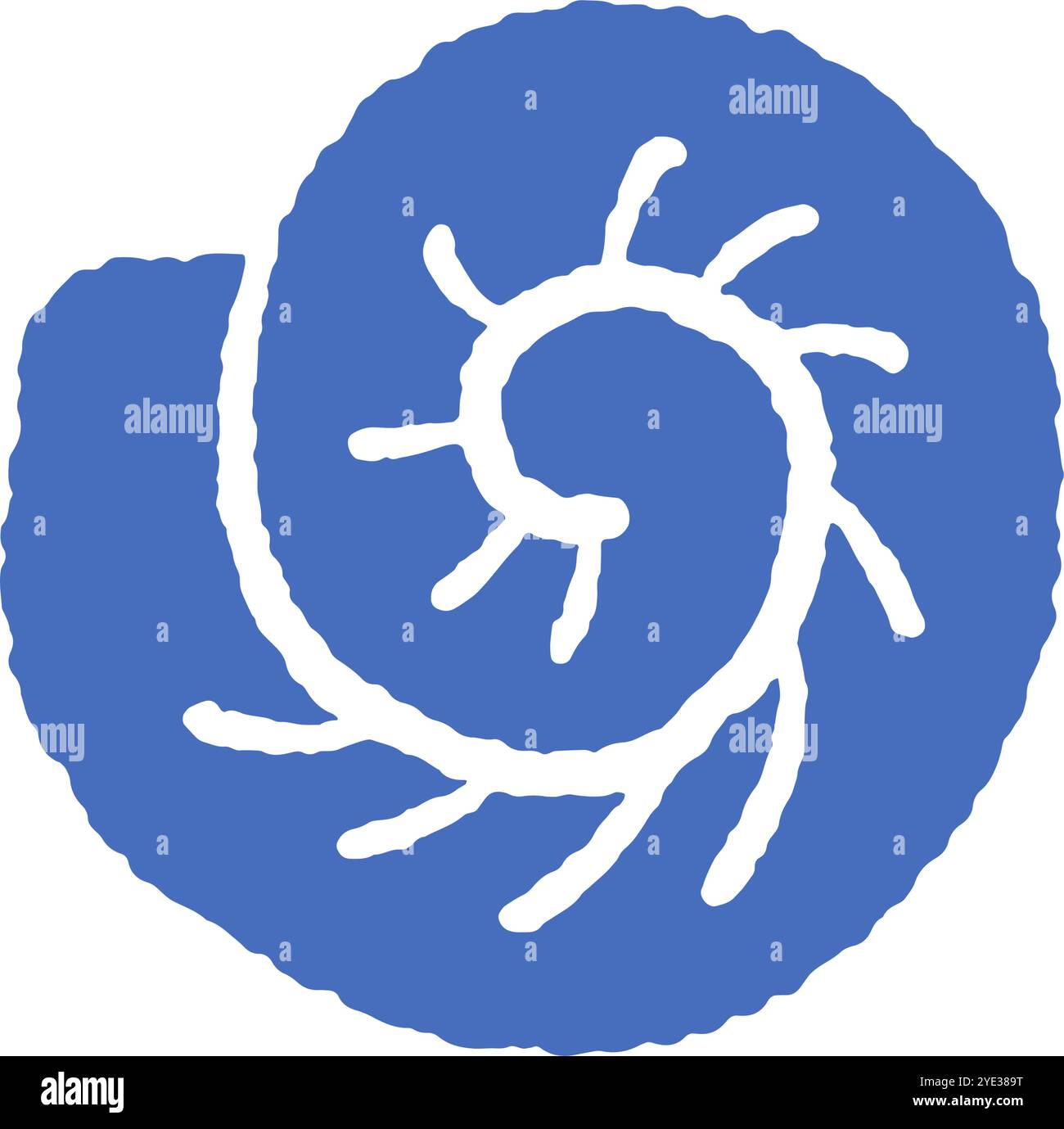 Nautilus Shell Spiral Vector Illustration Stock Vector Image & Art - Alamy