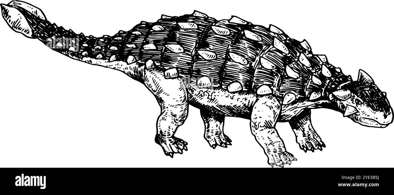 Ankylosaurus drawing hi-res stock photography and images - Alamy