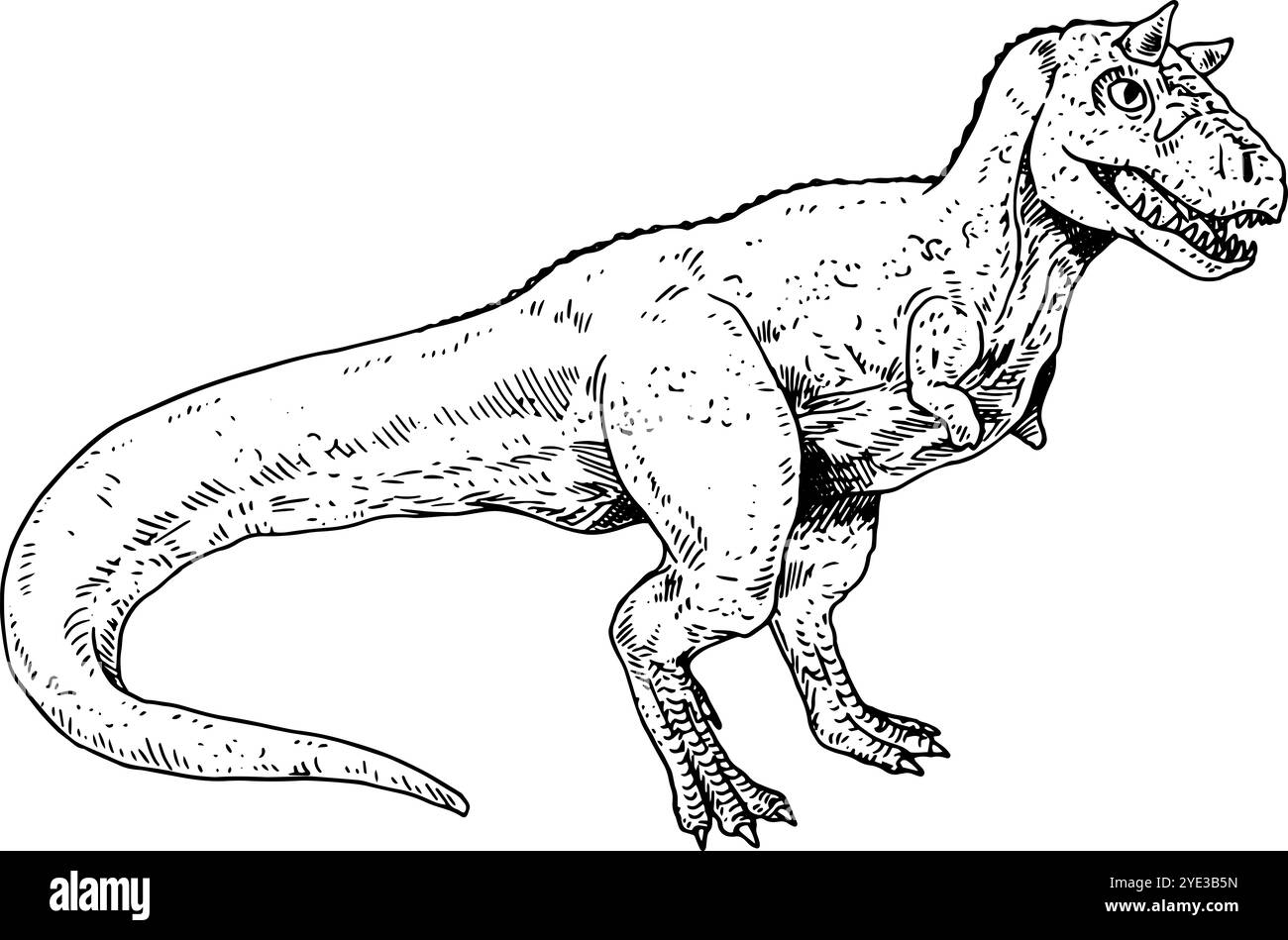 Carnotaurus - hand drawn realistic dinosaur illustration in black and ...