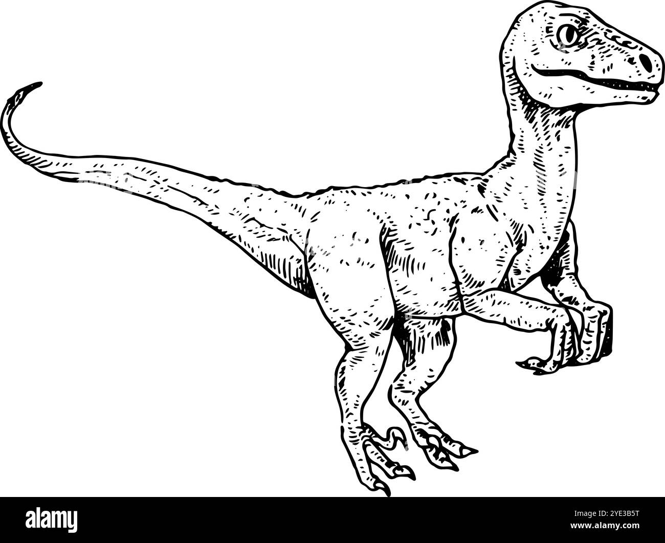Dinosaur Black And White Clipart
