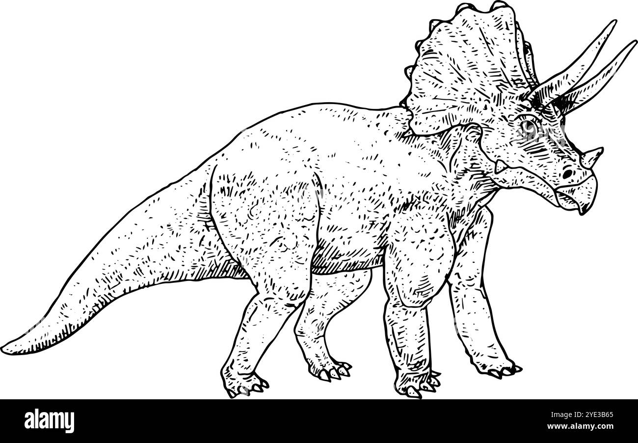 Triceratops - hand drawn realistic dinosaur illustration in black and ...