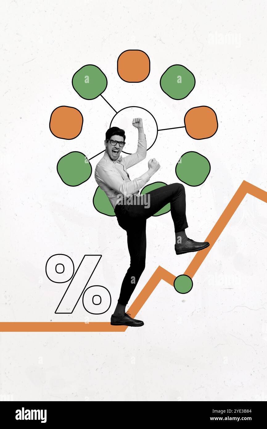 Vertical photo collage of happy man diagram development percent sign ...