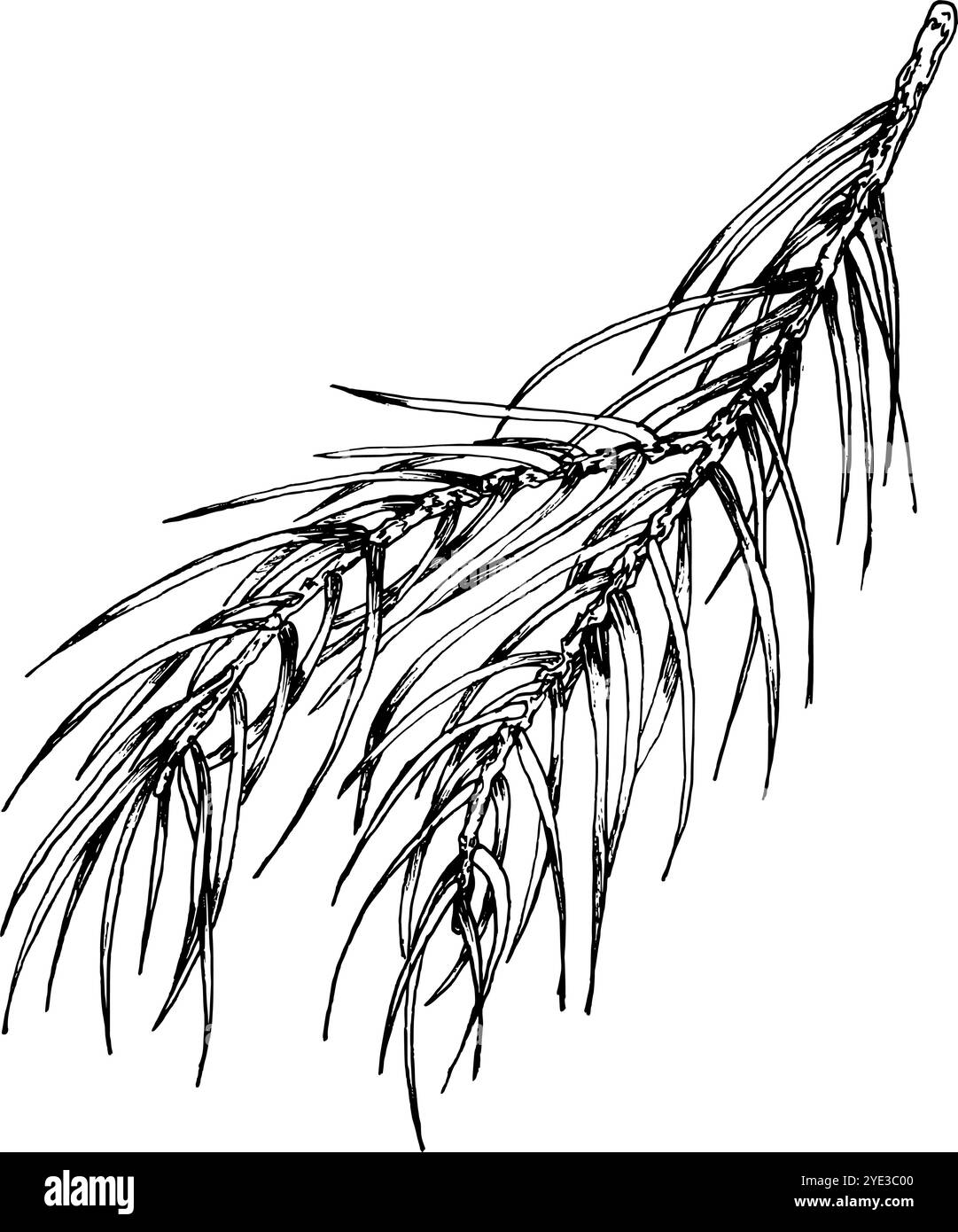 Branch ink hi-res stock photography and images - Alamy
