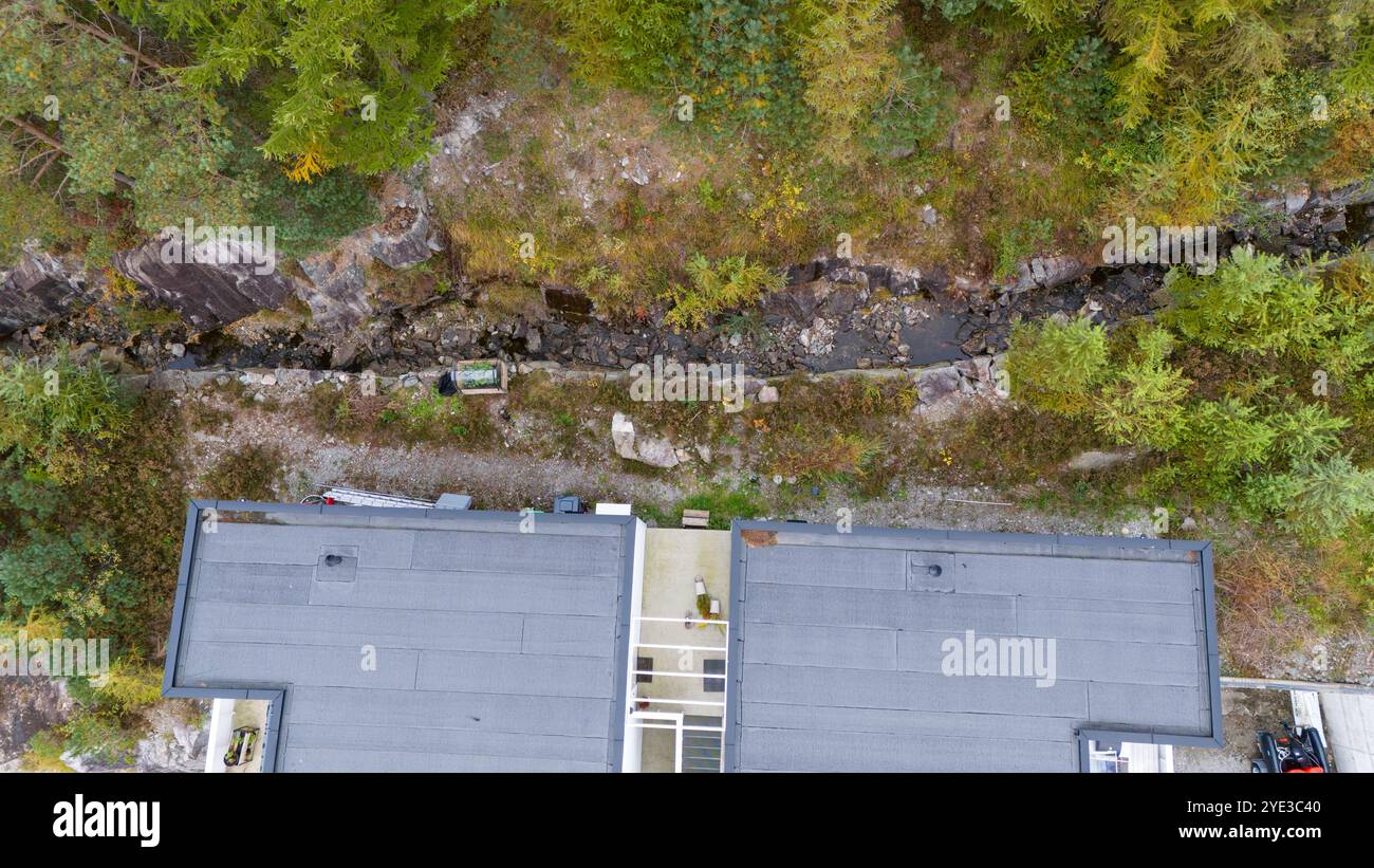 Surrounded by dense forest hi-res stock photography and images - Alamy