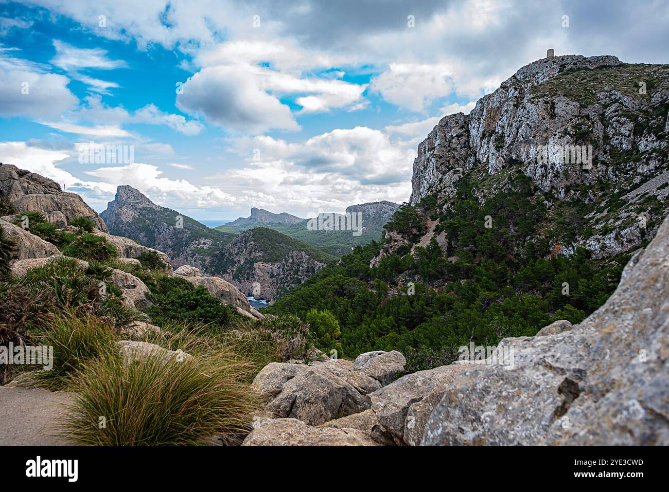 Landscape photography of cliffs and rocky coast, cape, stones, trees ...