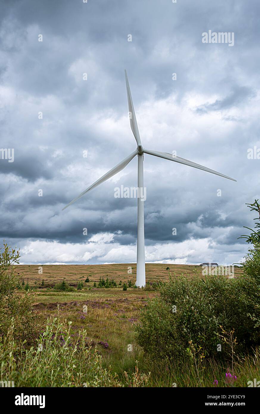 Landscape photography of wind turbine; windmill; wind power; power ...
