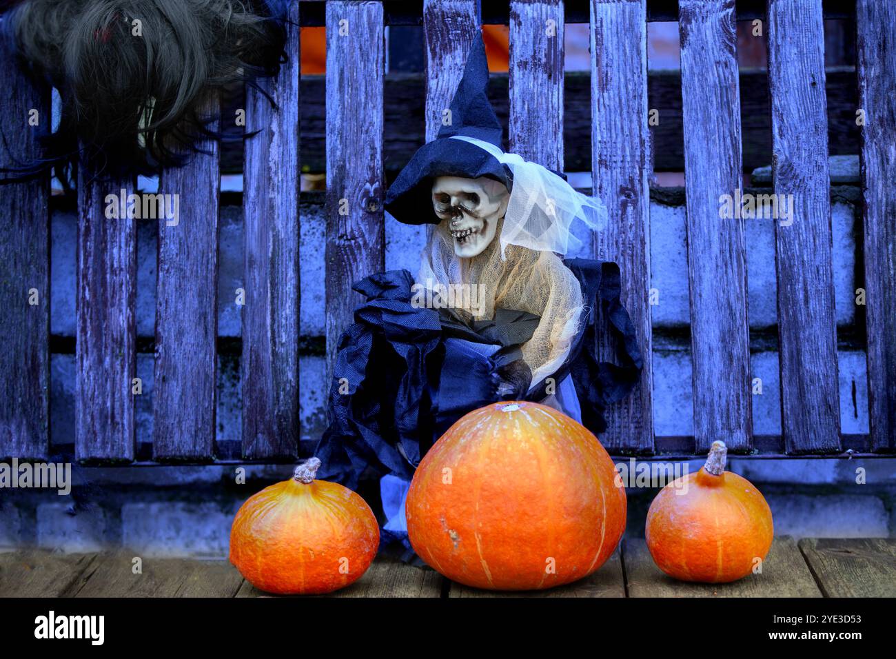 A Halloween skeleton poses with three yellow pumpkins on a creepy ...