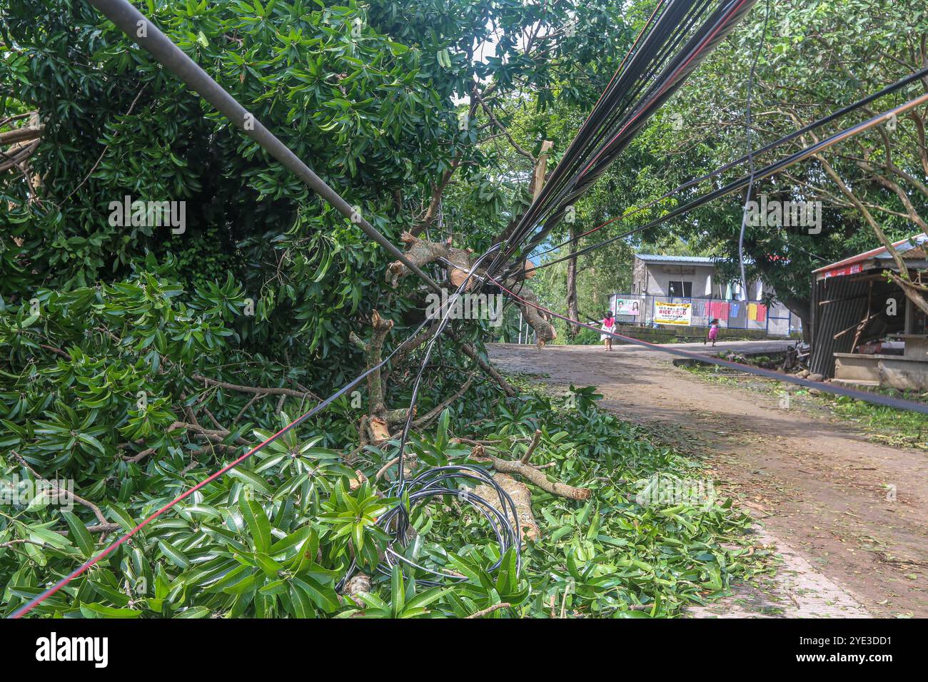 Laguna, Luzon Island, Philippines.Oct 25,2024: Power & ethernet wires ...