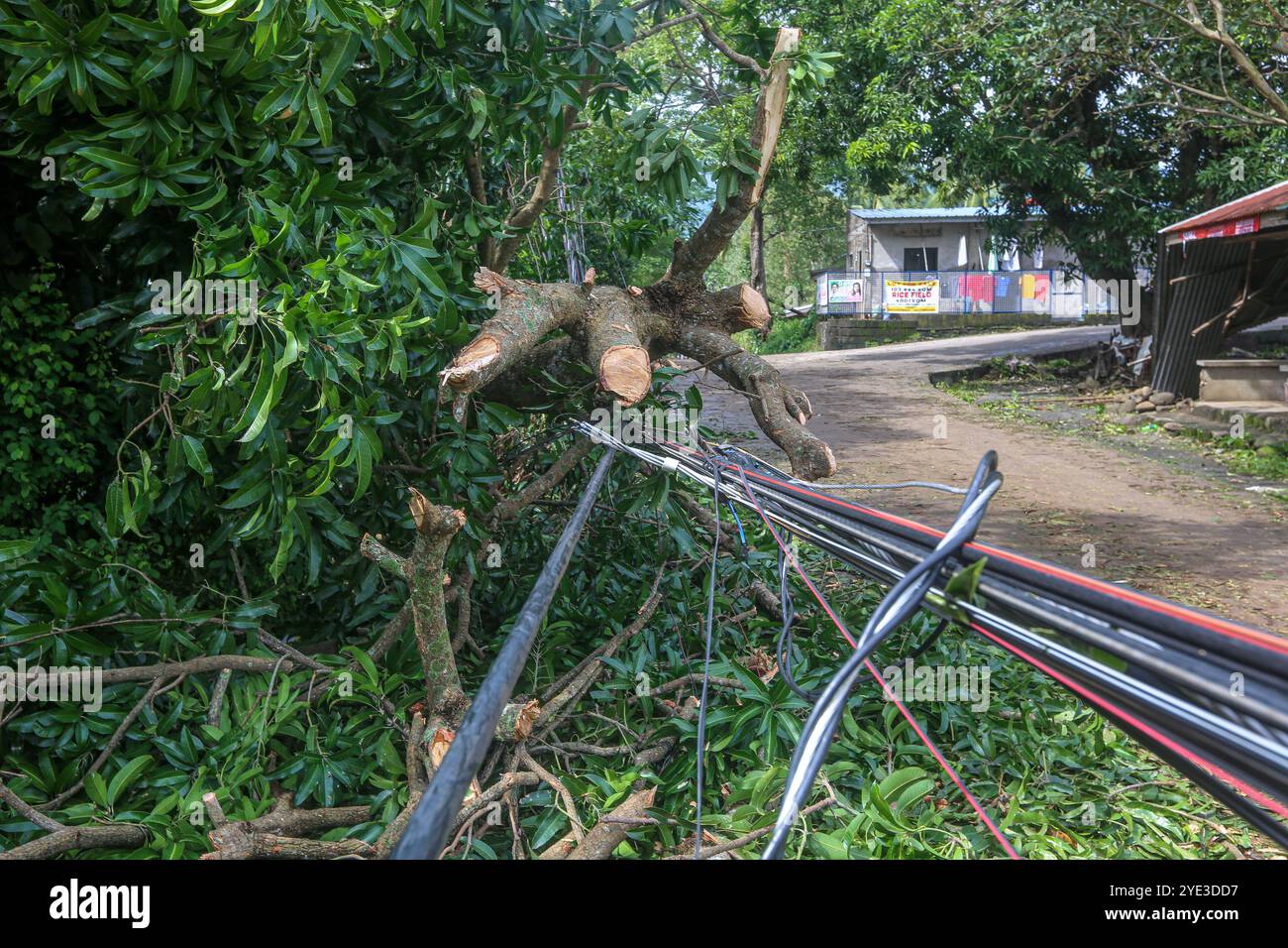 Tropical cyclone trami hi-res stock photography and images - Alamy
