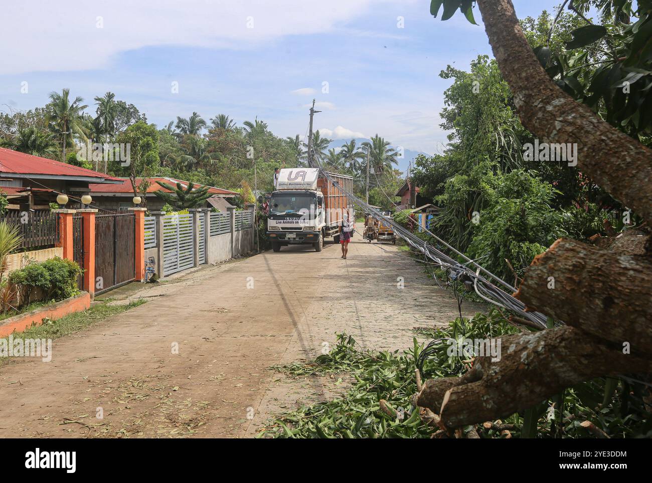Laguna, Calabarzon, Philippines. Oct 25,2024: A poultry truck struggles ...