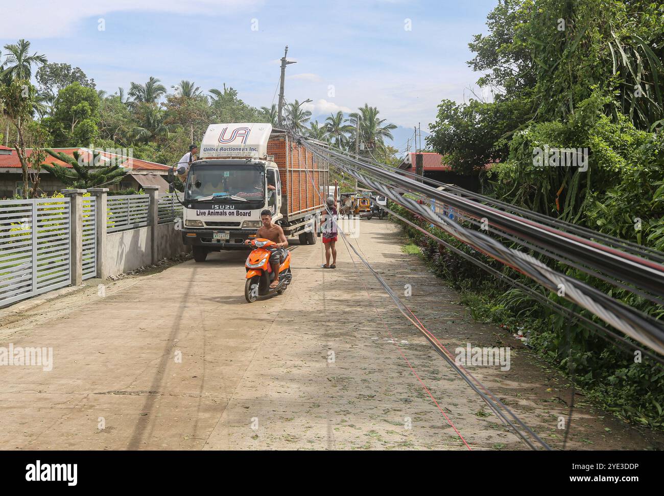 Laguna, Calabarzon, Philippines. Oct 25,2024: A poultry truck struggles ...