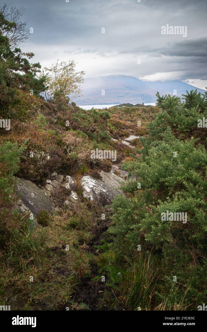 Gulley hi-res stock photography and images - Alamy