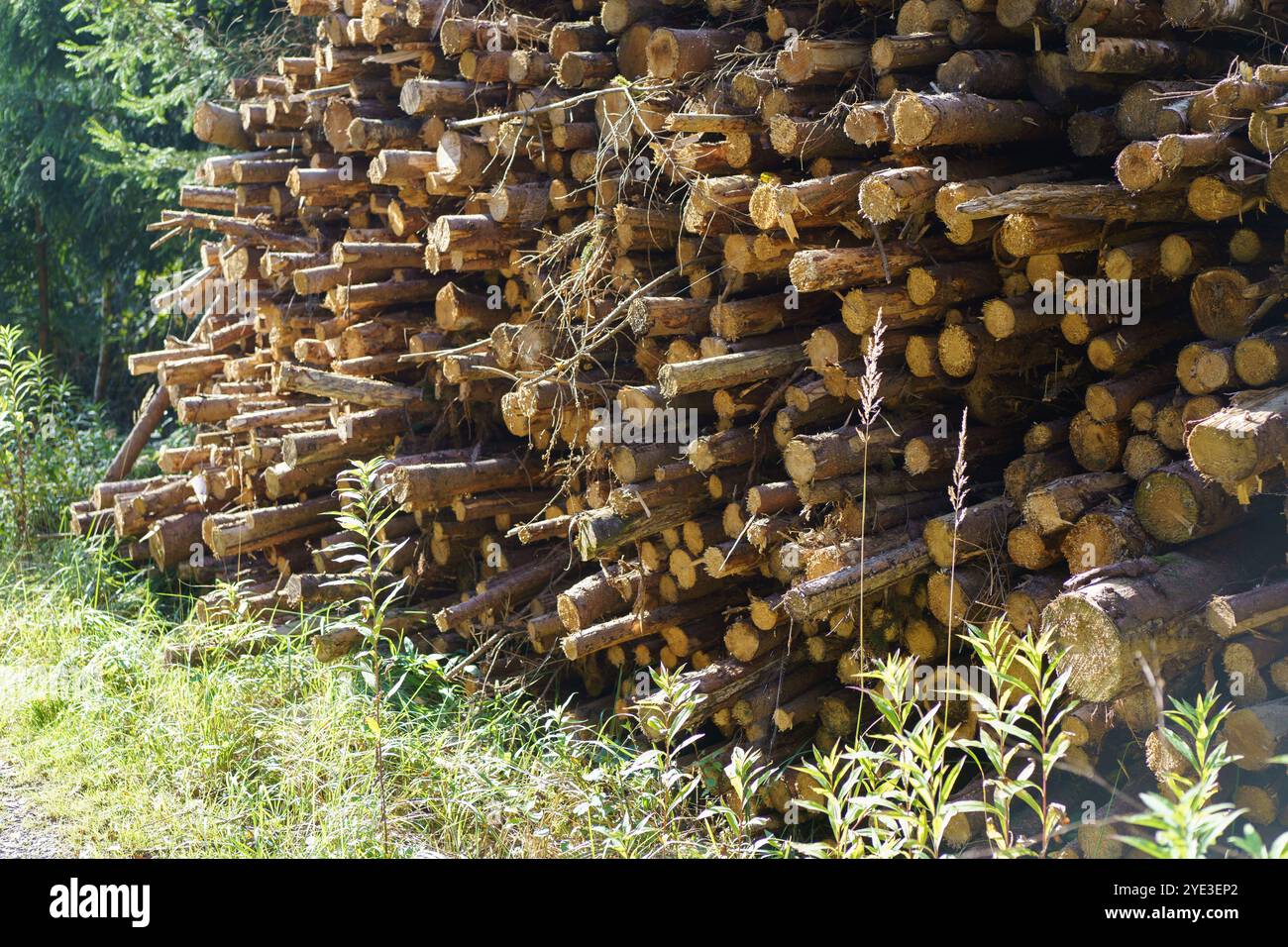 Visual representation of deforestation hi-res stock photography and ...