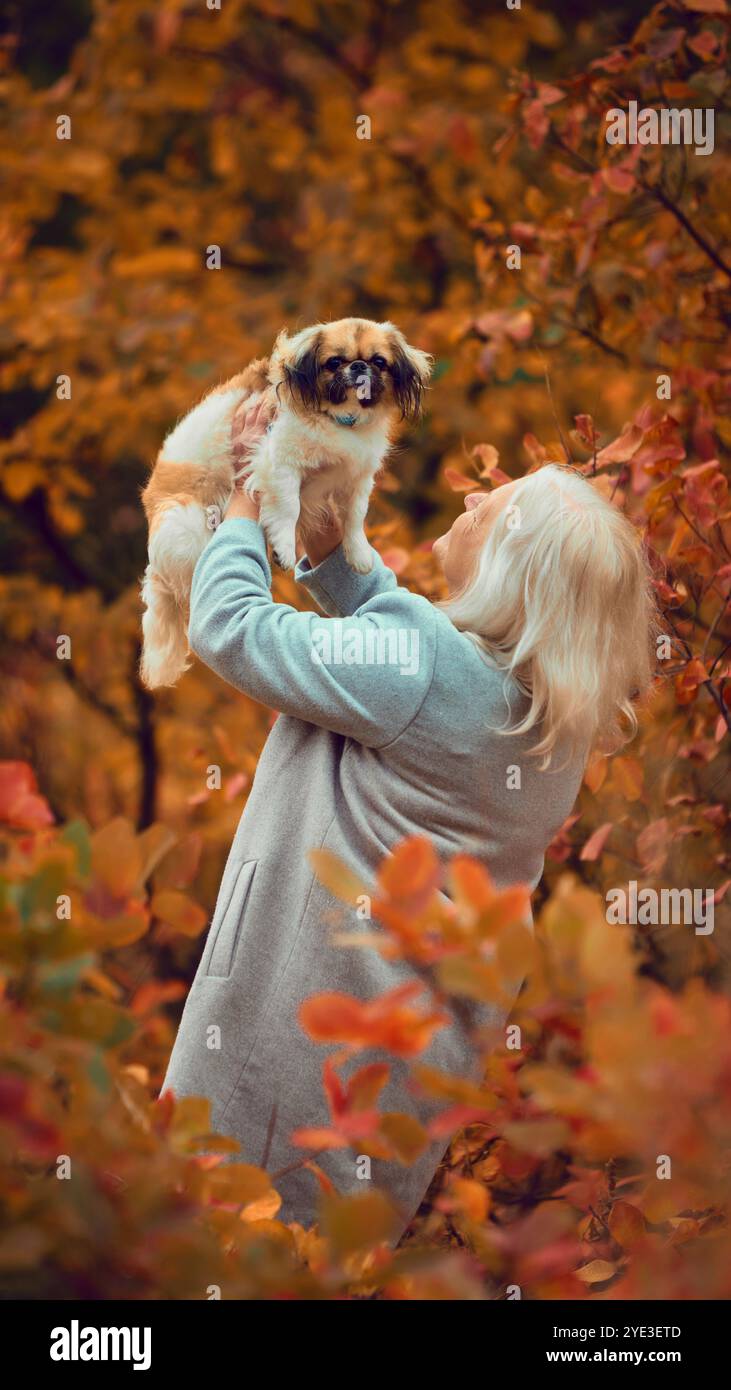 Rich woman dog hi-res stock photography and images - Alamy