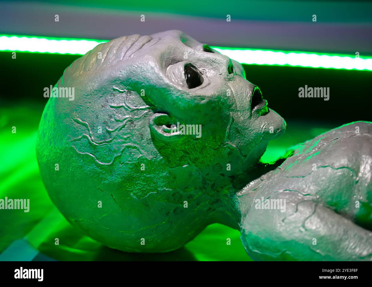 February 23, 2024. Belarus. Minsk. Educational open event about alien ...