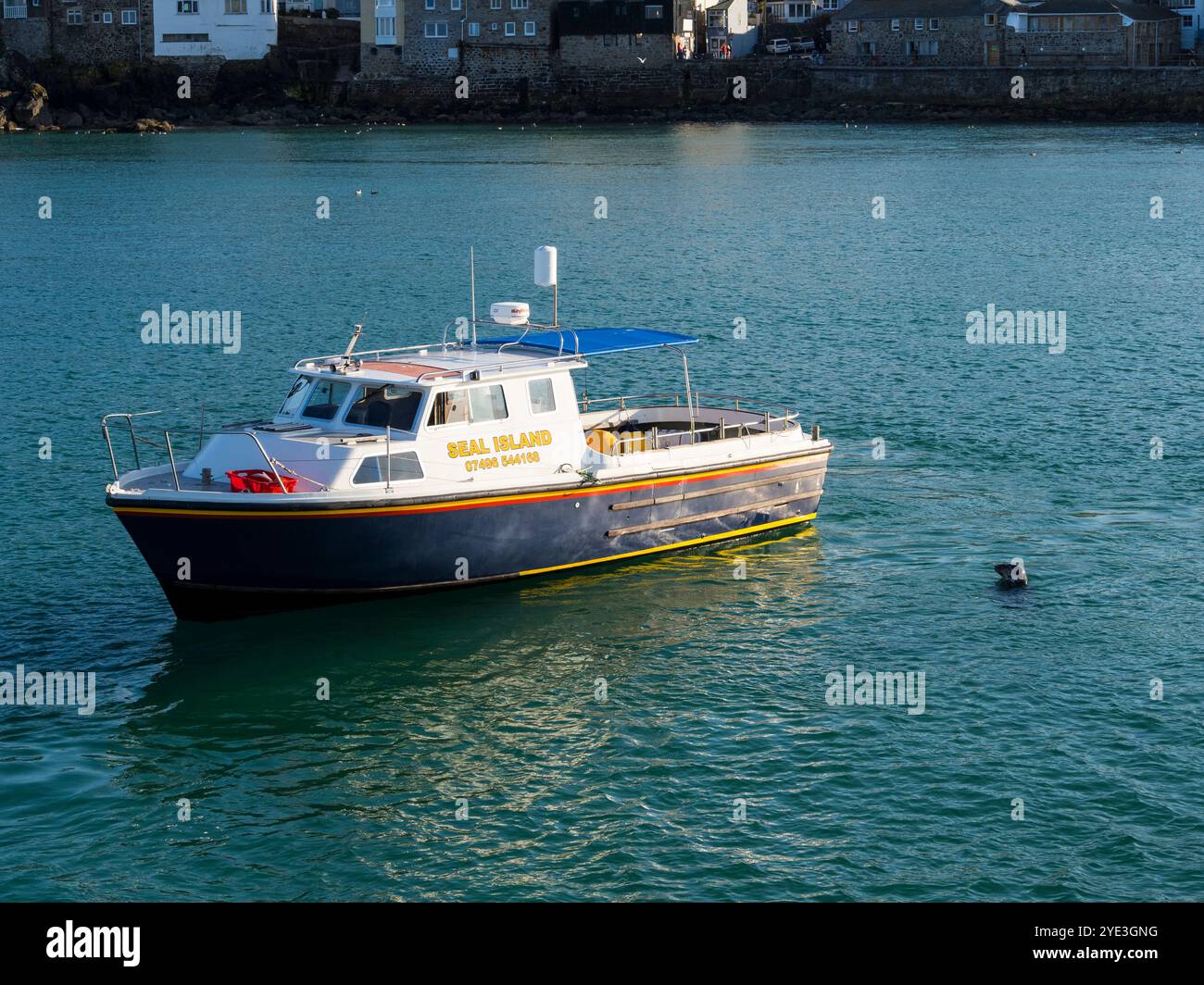 Seal Island Boat and Seal, St Ives Harbour, St Ives, Cornwall, England ...