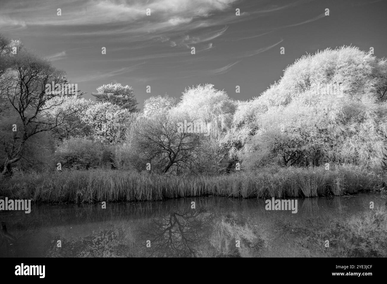 Bank field Black and White Stock Photos & Images - Alamy