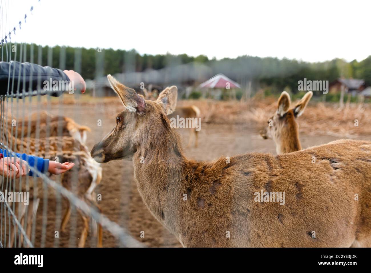 Sense of peaceful community hi-res stock photography and images - Alamy