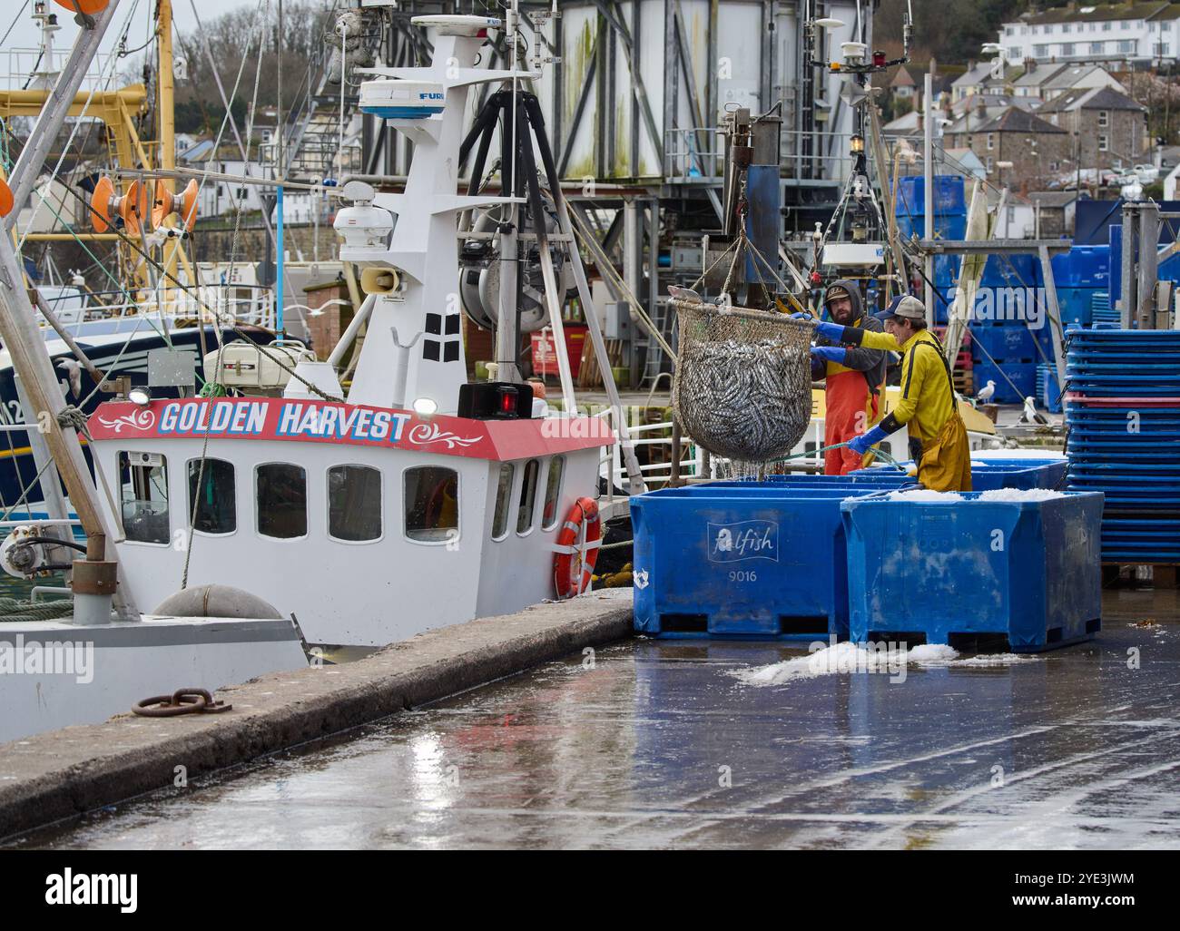 Unloading fish hi-res stock photography and images - Alamy
