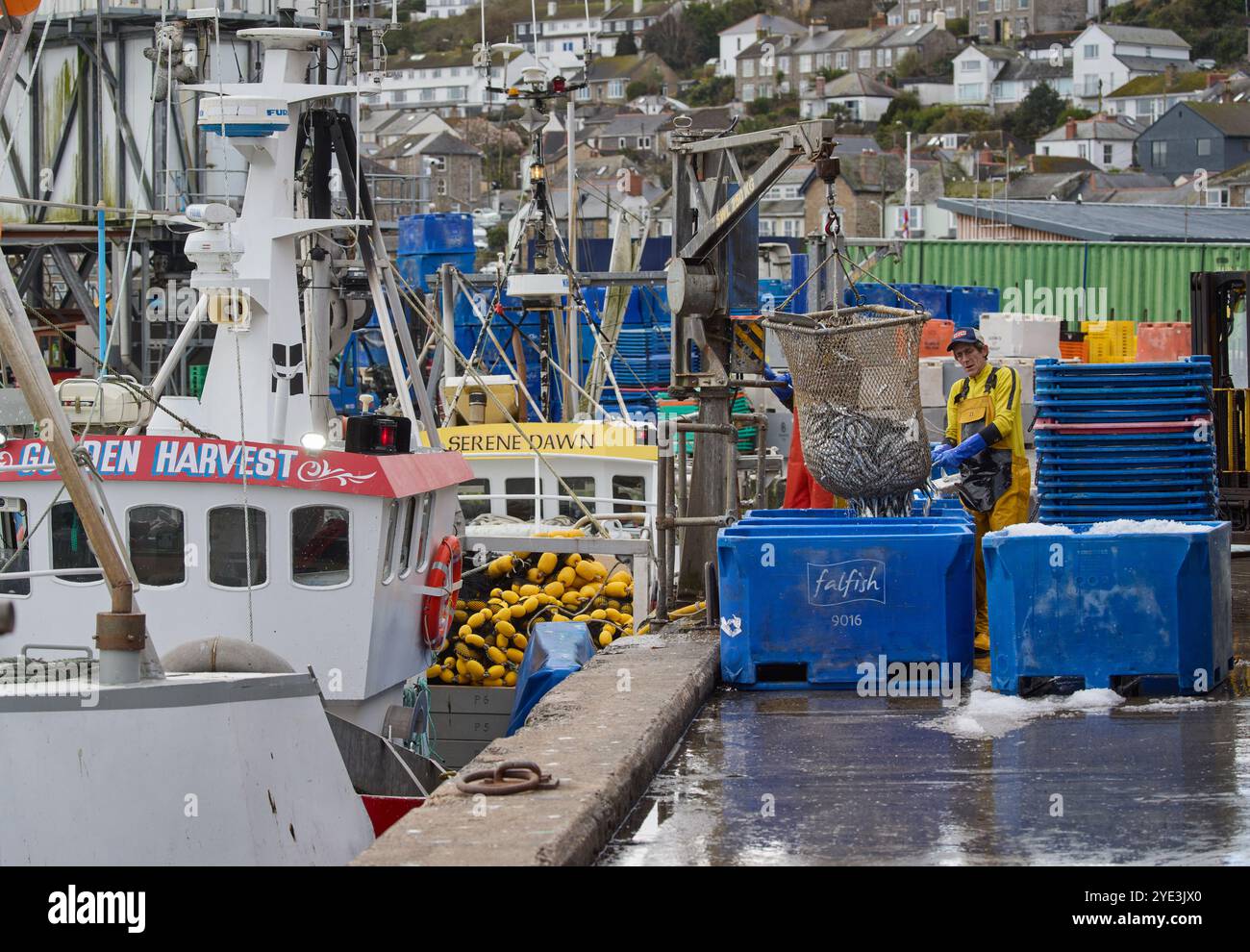 fisherman unloading fish from a fishing boat in Newlyn harbour Stock ...