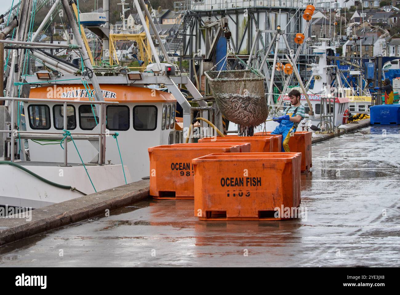 fisherman unloading fish from a fishing boat in Newlyn harbour Stock ...