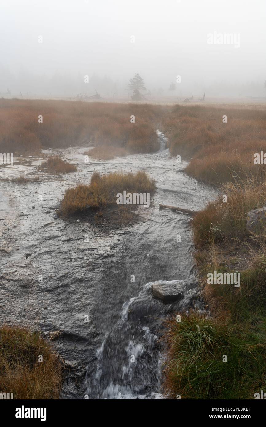 A steamy running hot spring on a foggy morning near Grand Prismatic ...