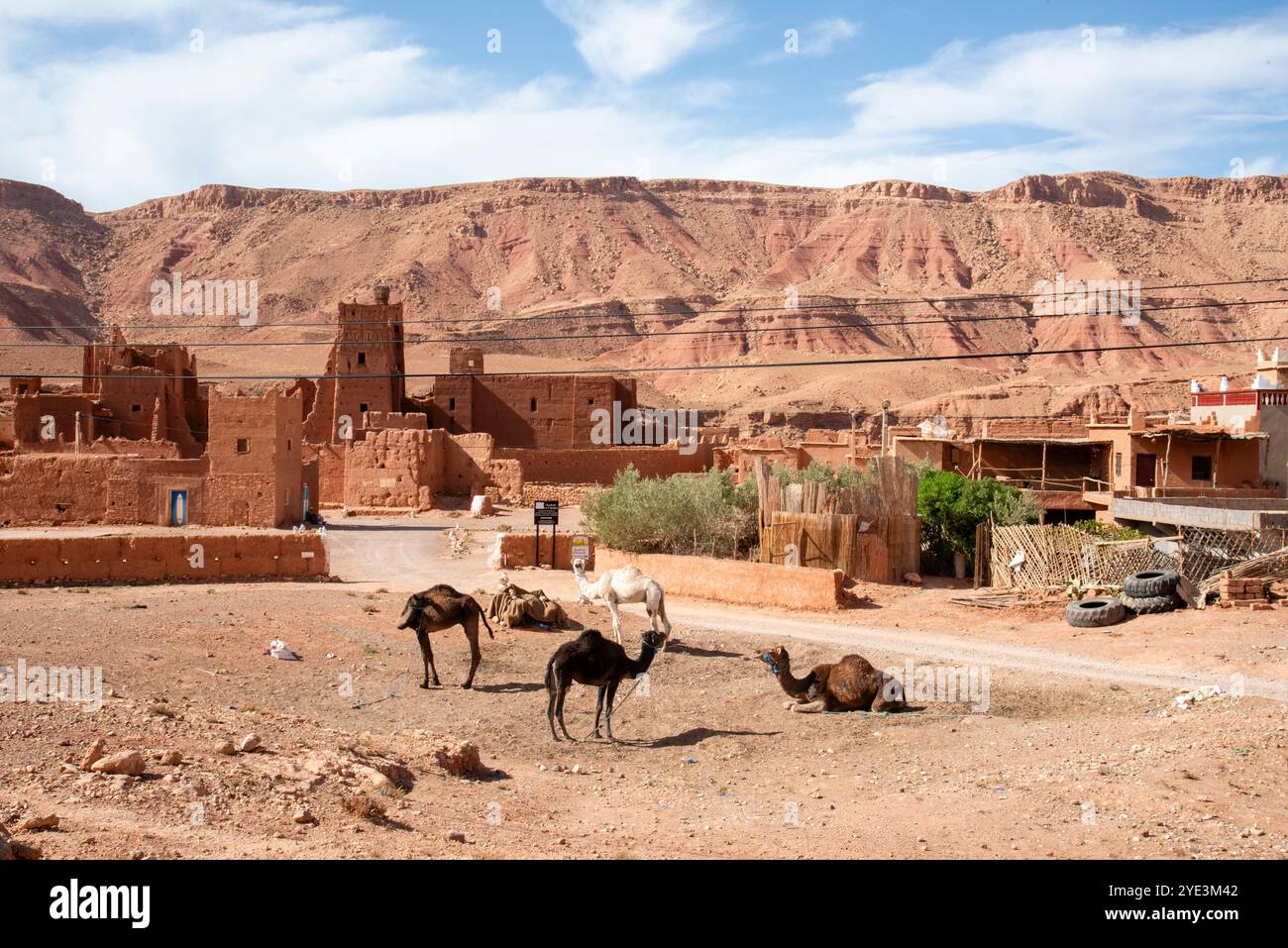 Structures in sahara desert hi-res stock photography and images - Alamy