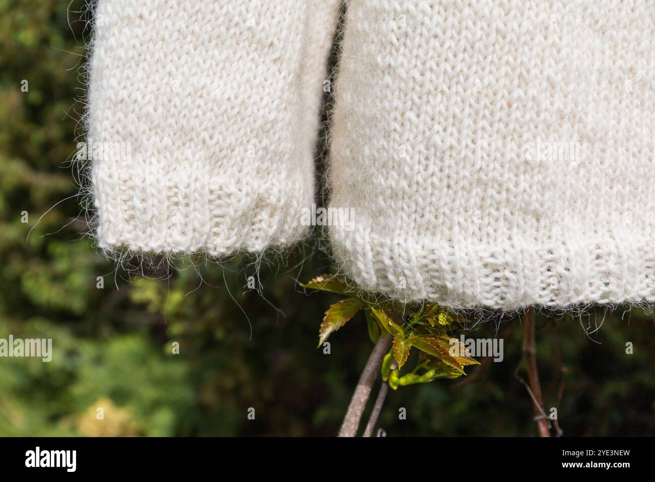 Close-up photo of a white hand-knitted sweater cuffs and hem band on a ...