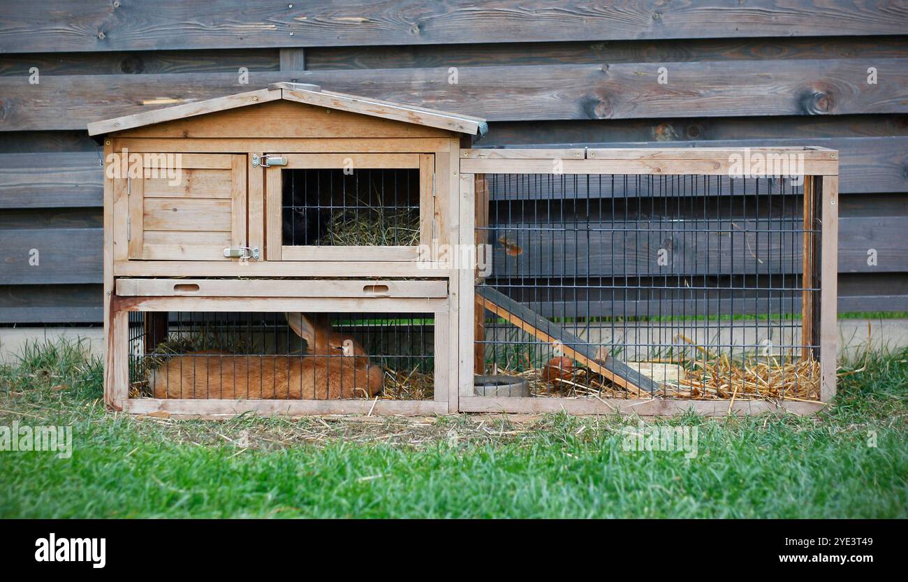 A two-story wooden rabbit hutch with an animal enclosure and two lying ...