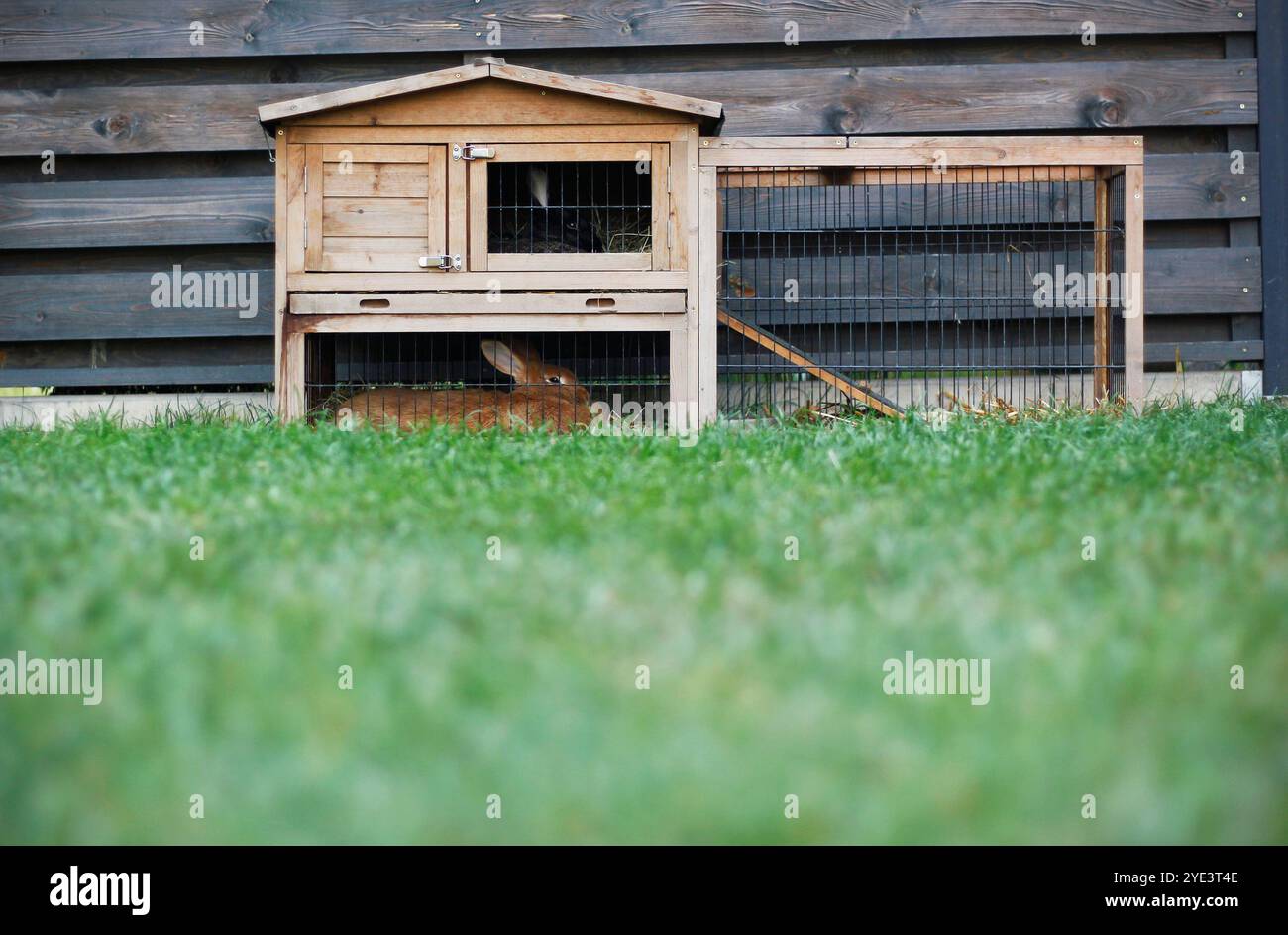 A two-story wooden rabbit hutch with an animal enclosure and two lying ...