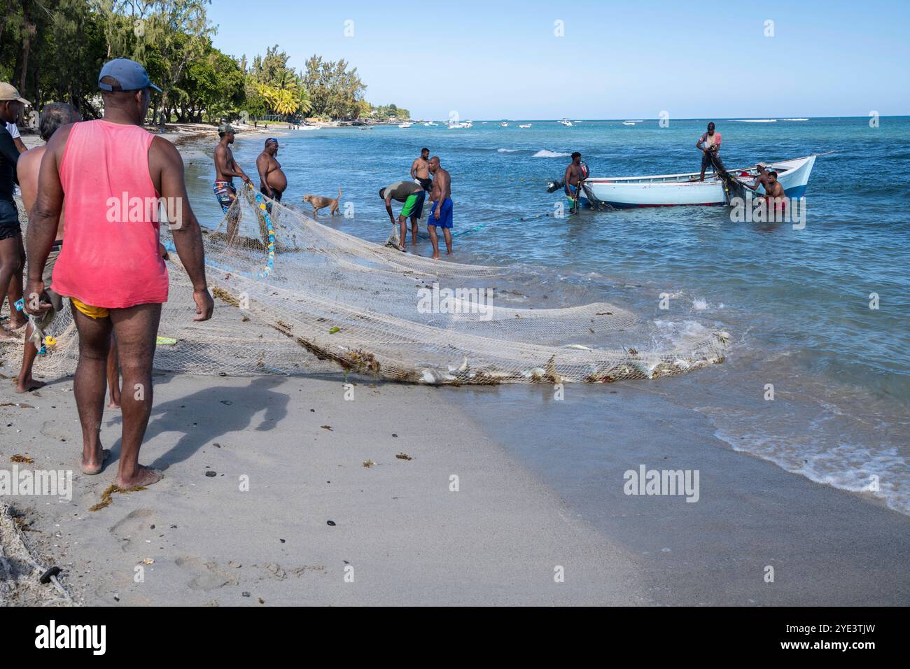 Tamarin Beach, Strand, Fischer fangen Fische mit Netz, Westküste ...