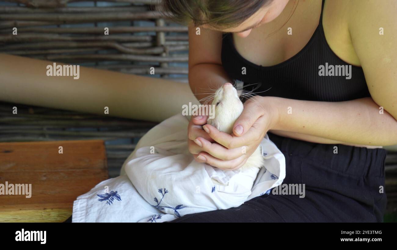 A girl lovingly cradles a ferret wrapped in a white diaper, set against ...