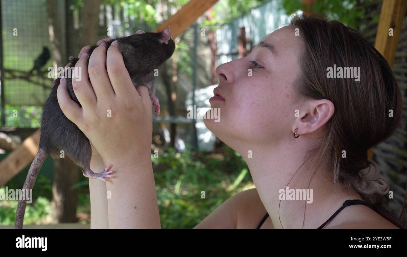 A dark-haired rat rests peacefully in the arms of a woman, who holds it ...