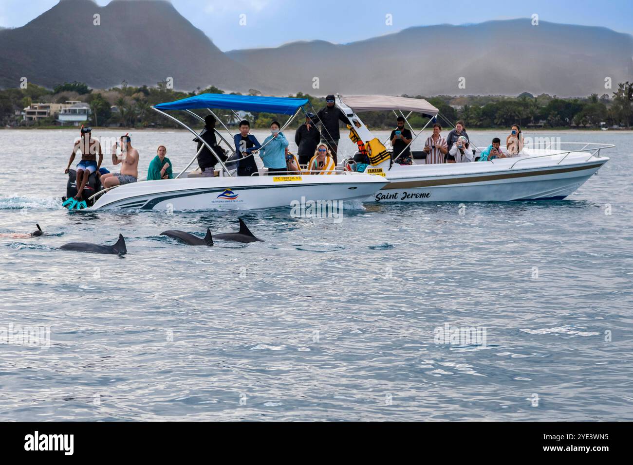 Touristen schwimmen, schorcheln mit Delfinen, Ostpazifische Delfin ...