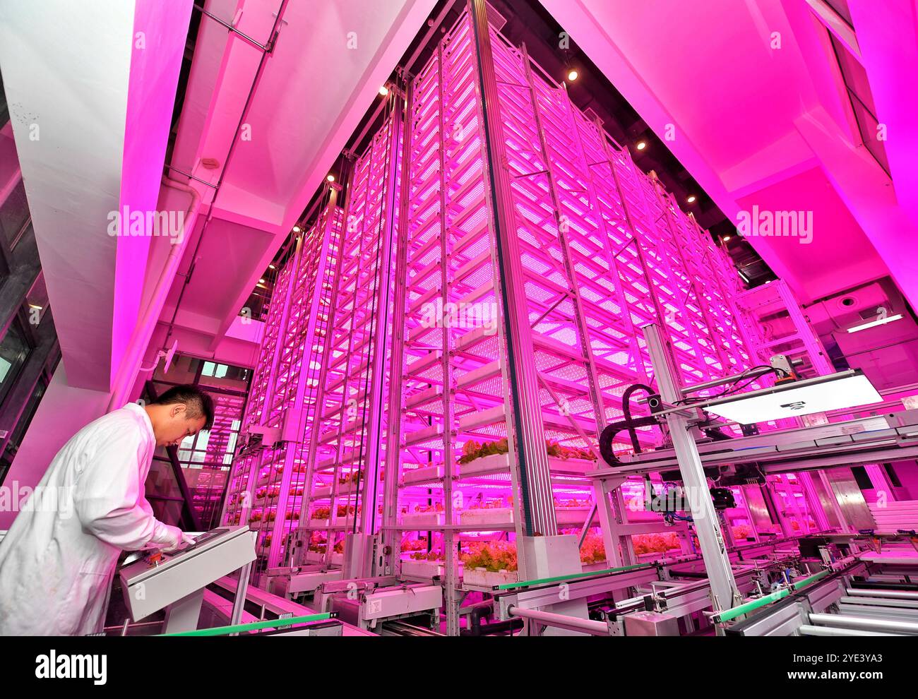 (241029) -- CHENGDU, Oct. 29, 2024 (Xinhua) -- A technician debugs an ...