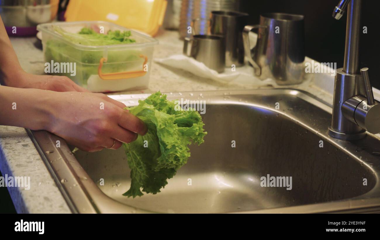 Close-up of a young woman washing vegetables in the kitchen sink. The ...