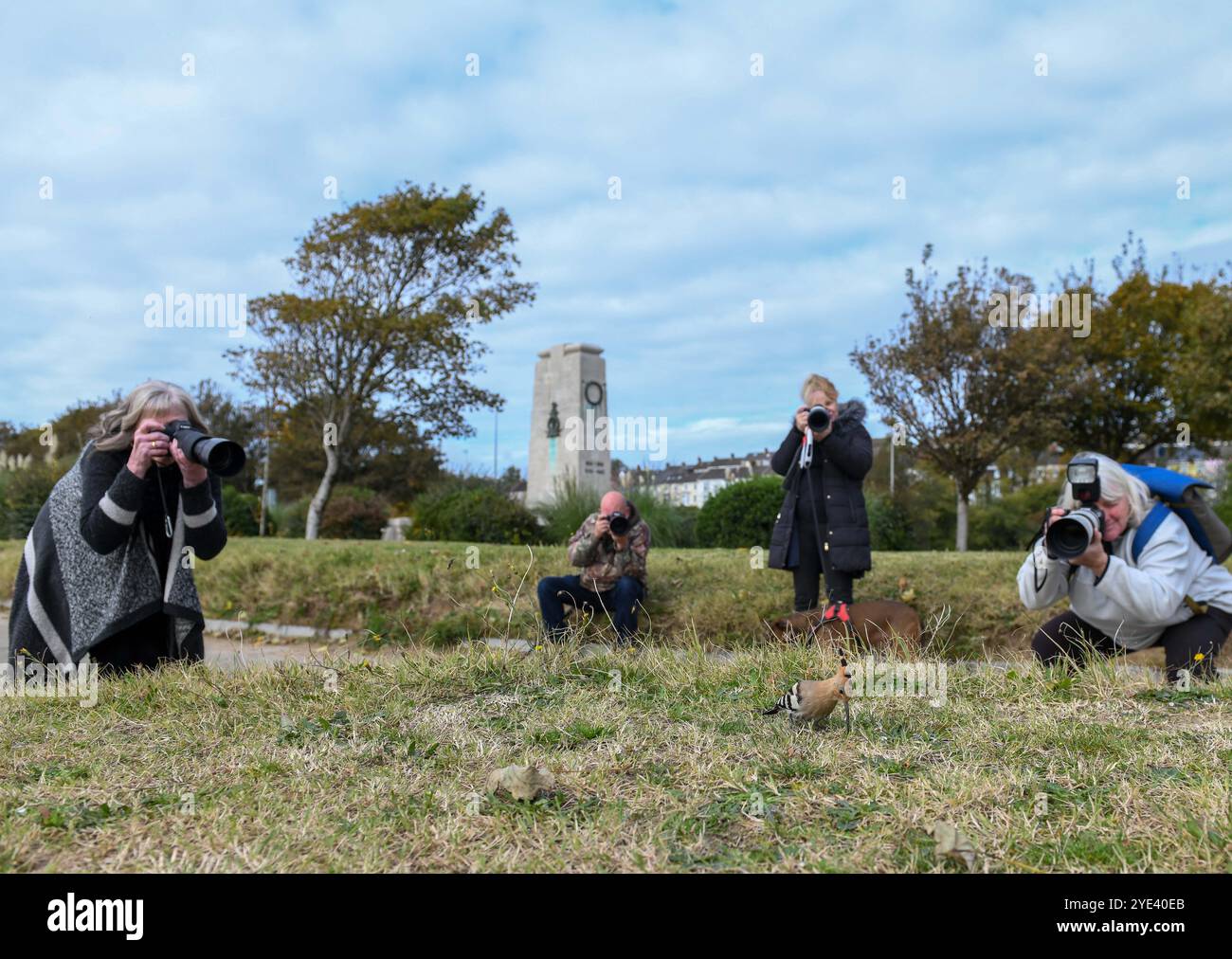 Swansea, 10th October 2023, Rare Bird Swansea Photographers focus their ...