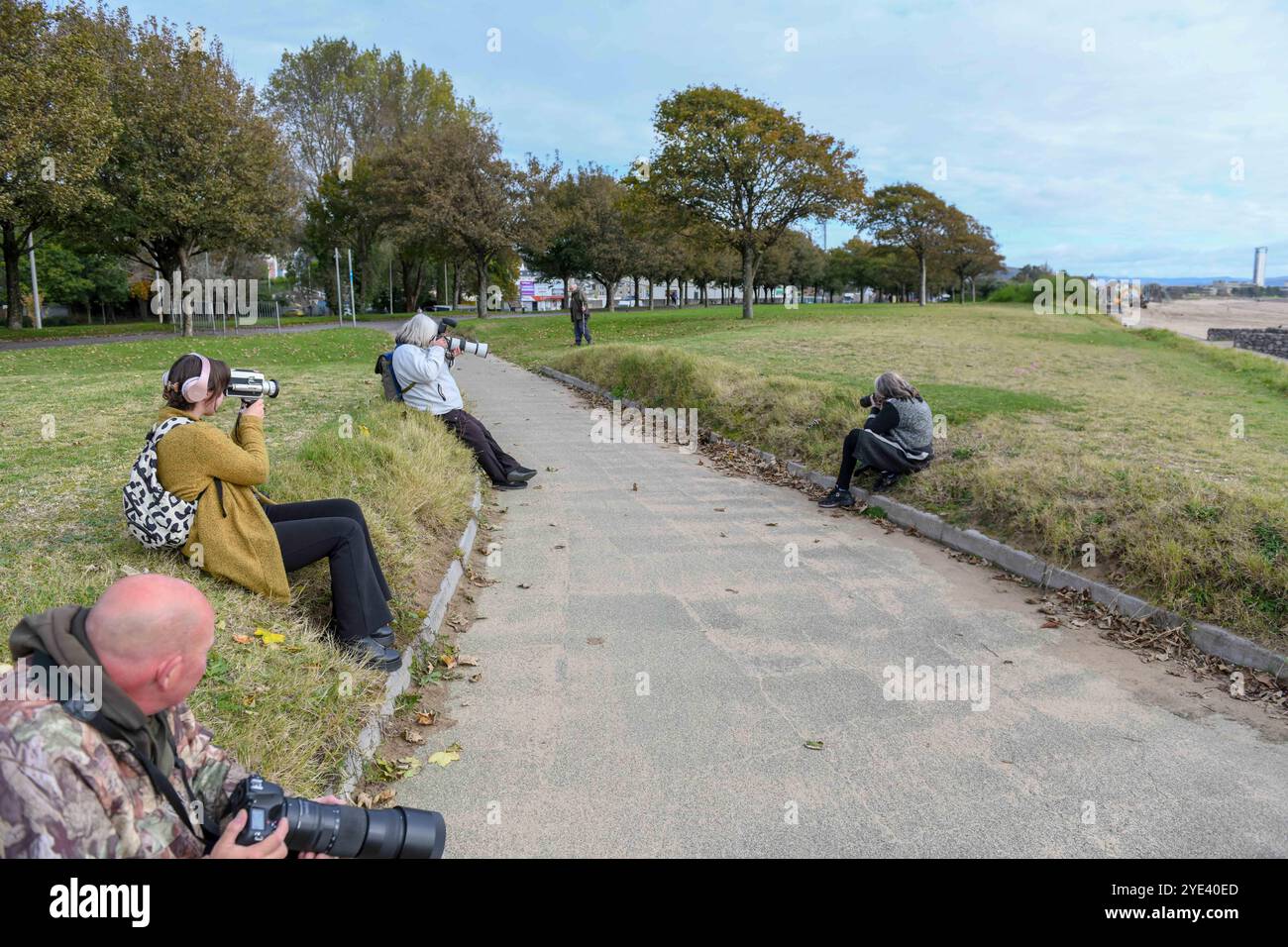 Swansea, 10th October 2023, Rare Bird Swansea Photographers focus their ...