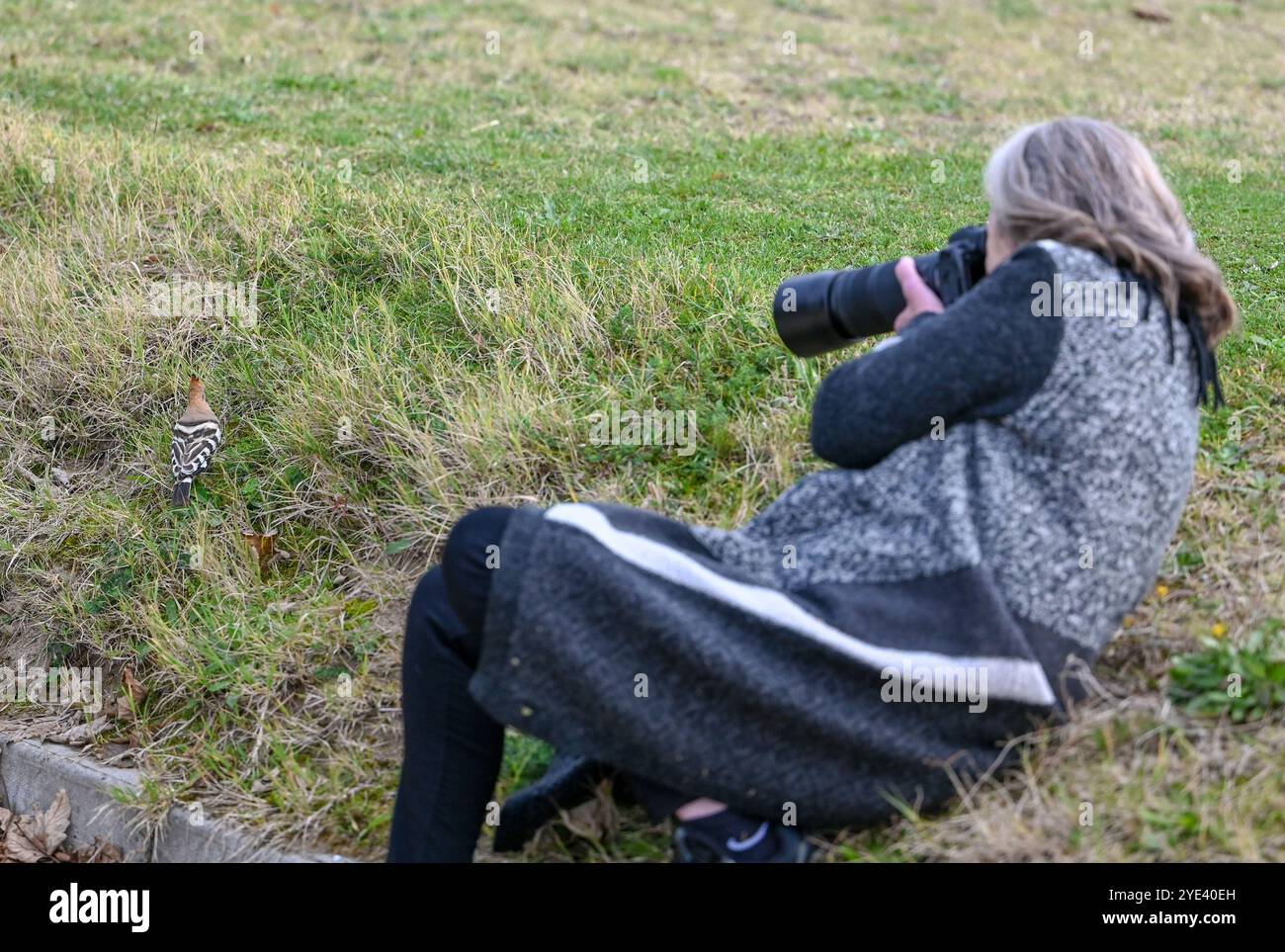 Swansea, 10th October 2023, Rare Bird Swansea Photographers focus their ...