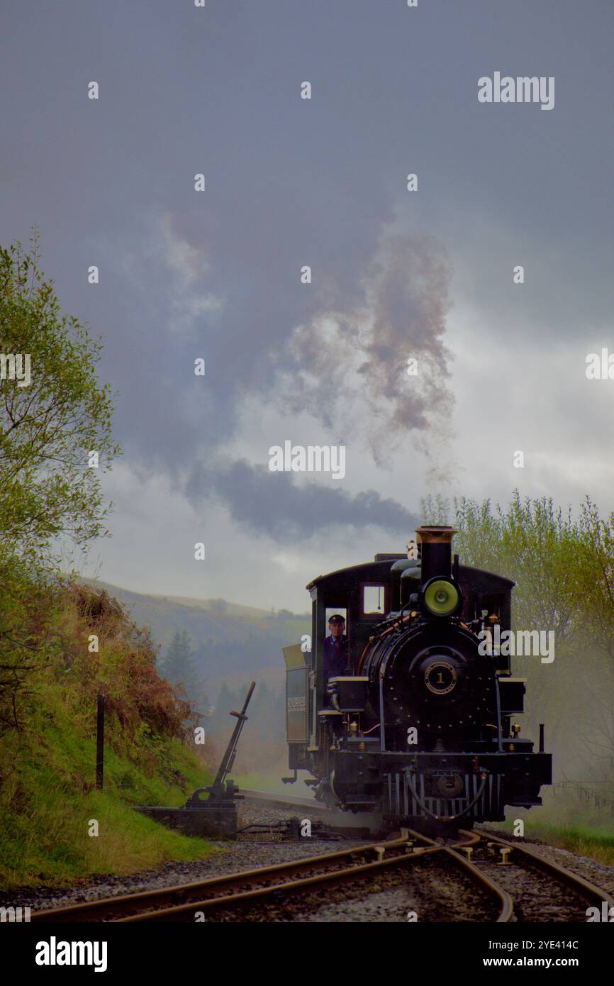 Old billy horse hi-res stock photography and images - Alamy