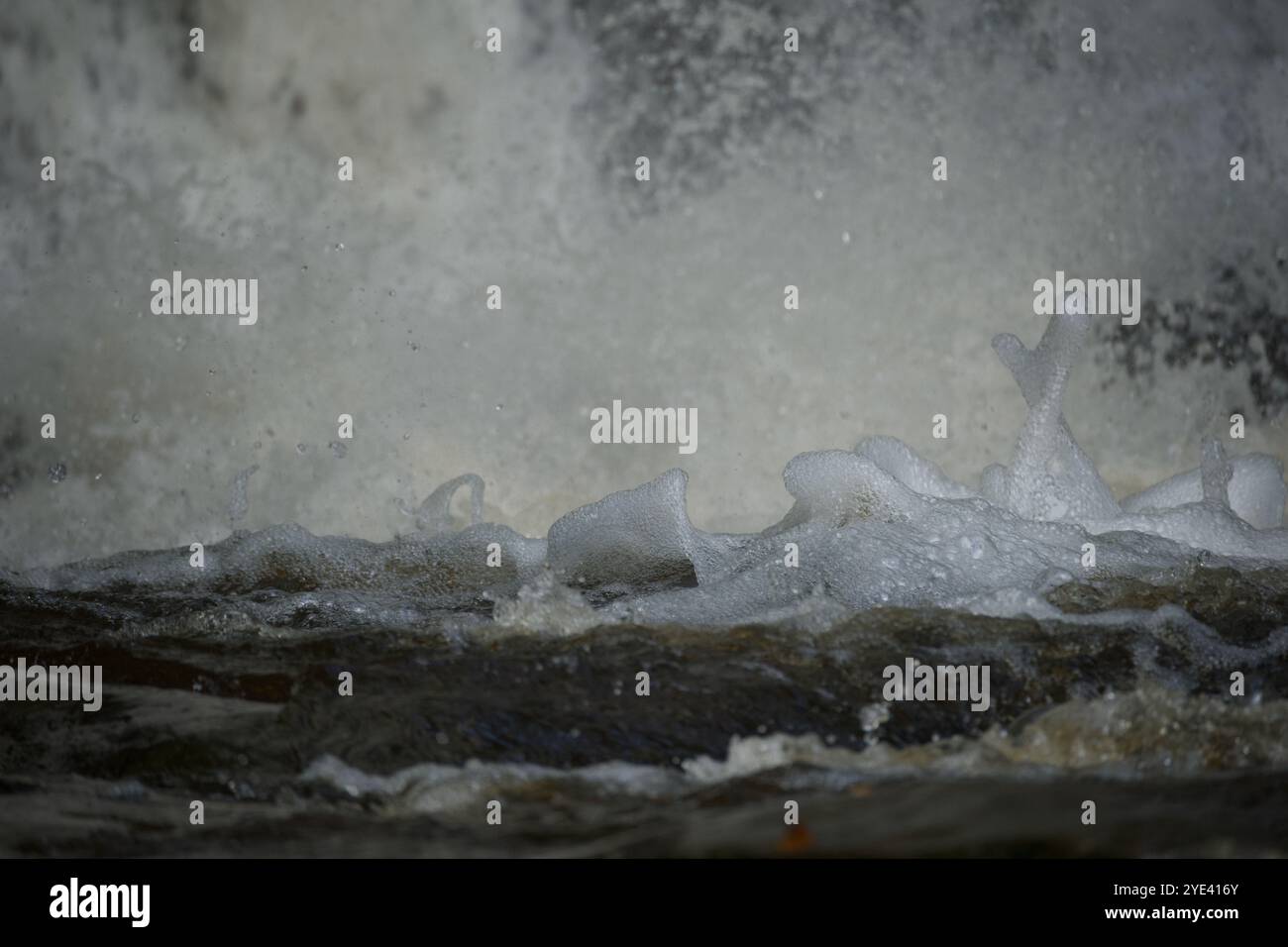 Freezing the action can produce some startling images Stock Photo - Alamy