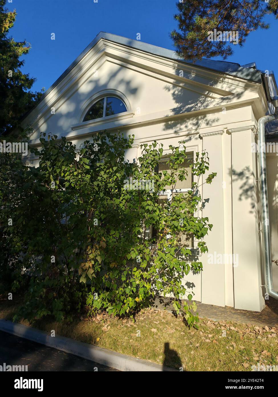 modest white building with large windows nestled among trees and ...