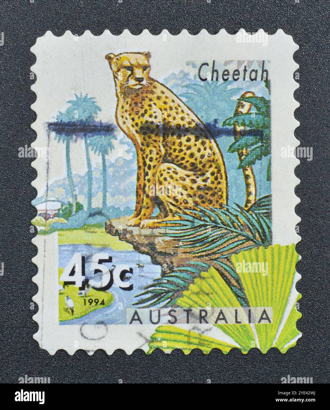 Cancelled postage stamp printed by Australia, that shows Cheetah ...