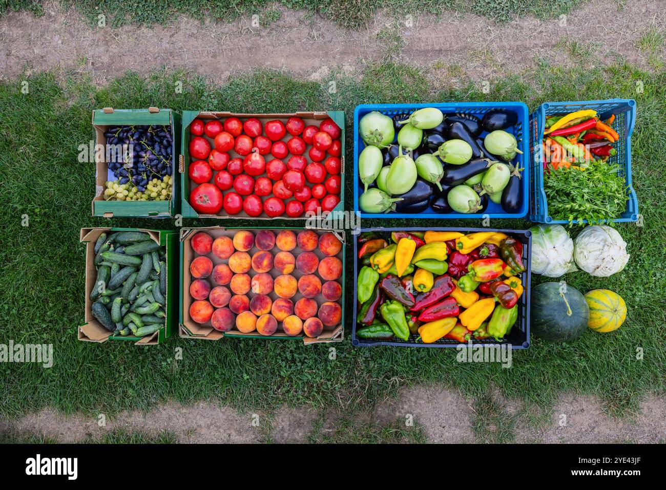 Fresh organic home grown fruits and vegetables from countryside farm in ...