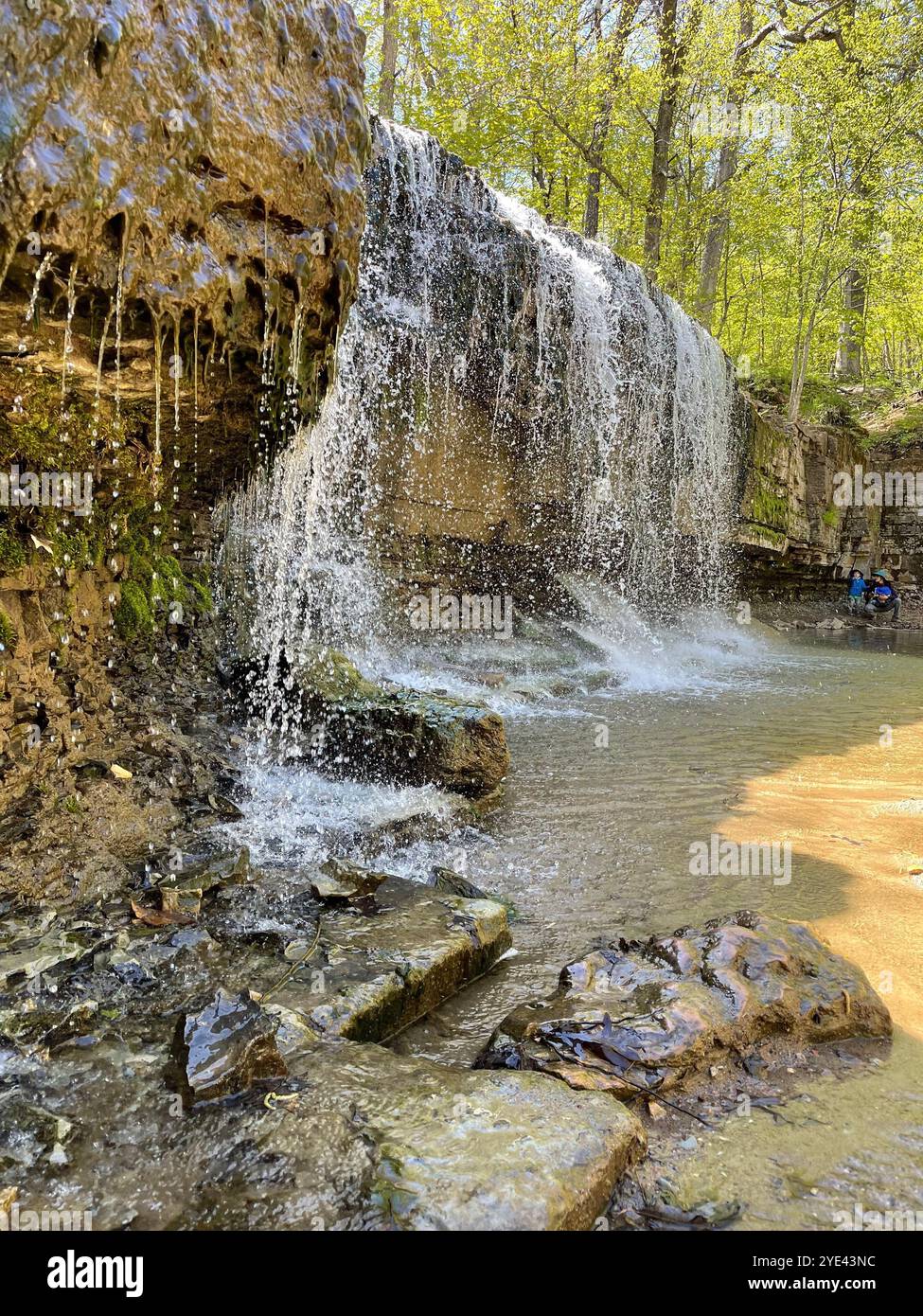 Minnesota Nerstrand Big Woods State Park - Waterfall Stock Photo - Alamy