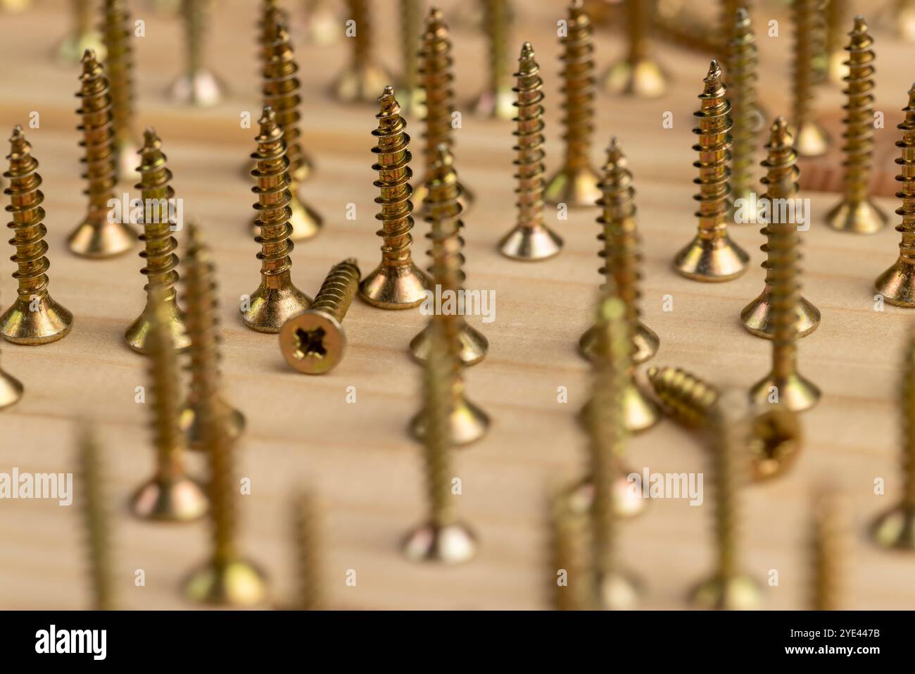 screws for work with wood, metal self tapping screws for fixing wooden ...