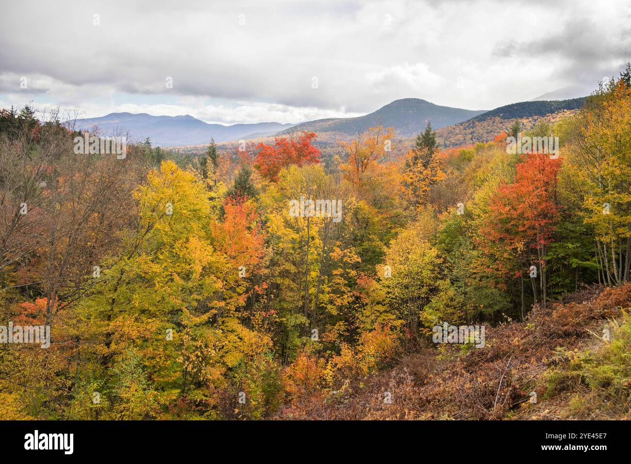 spectacular fall colours at sugar hill overlook in the white mountain ...