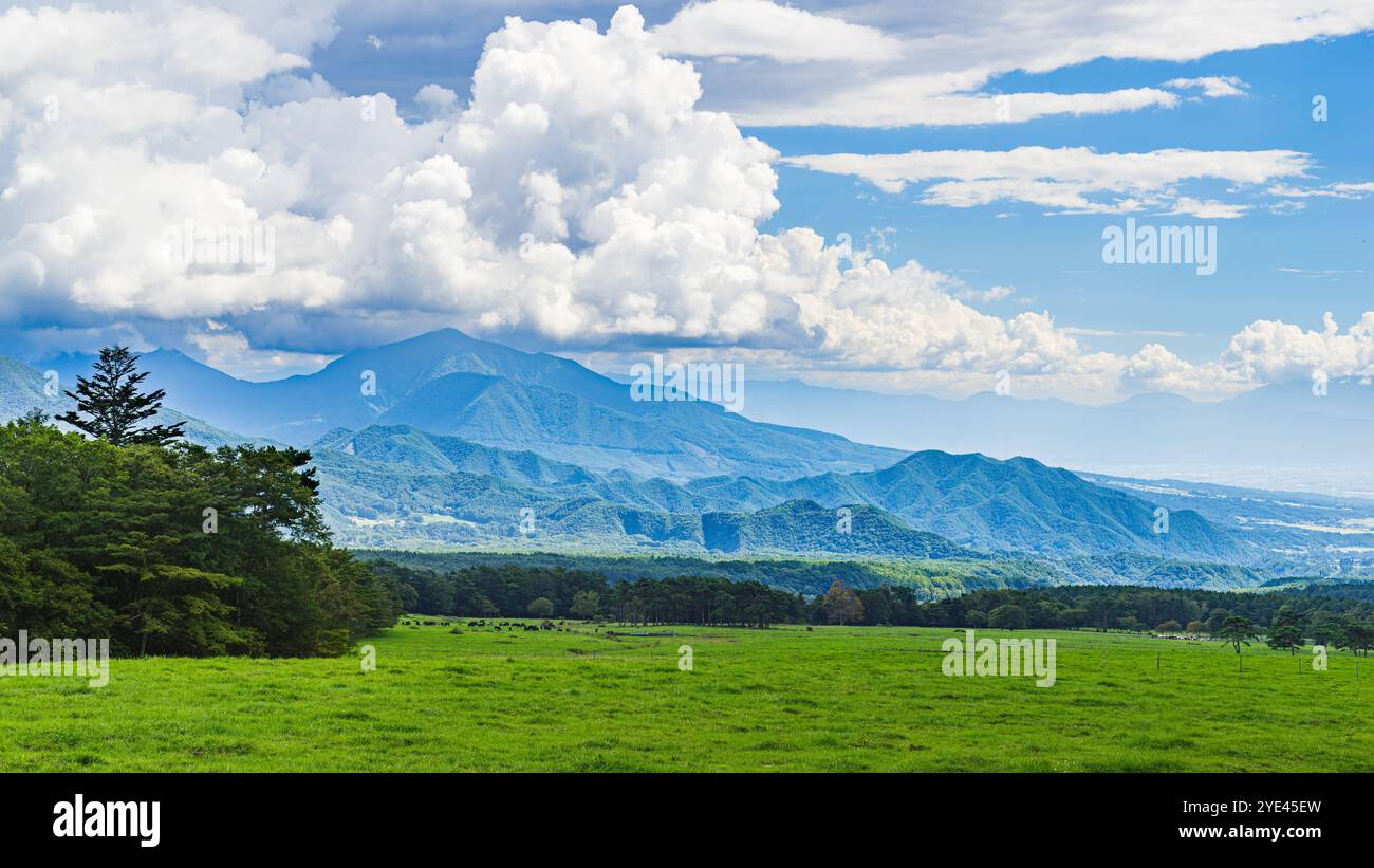 Perched on a 1,400-meter (4,600 ft) plateau in Yamanashi Prefecture’s ...