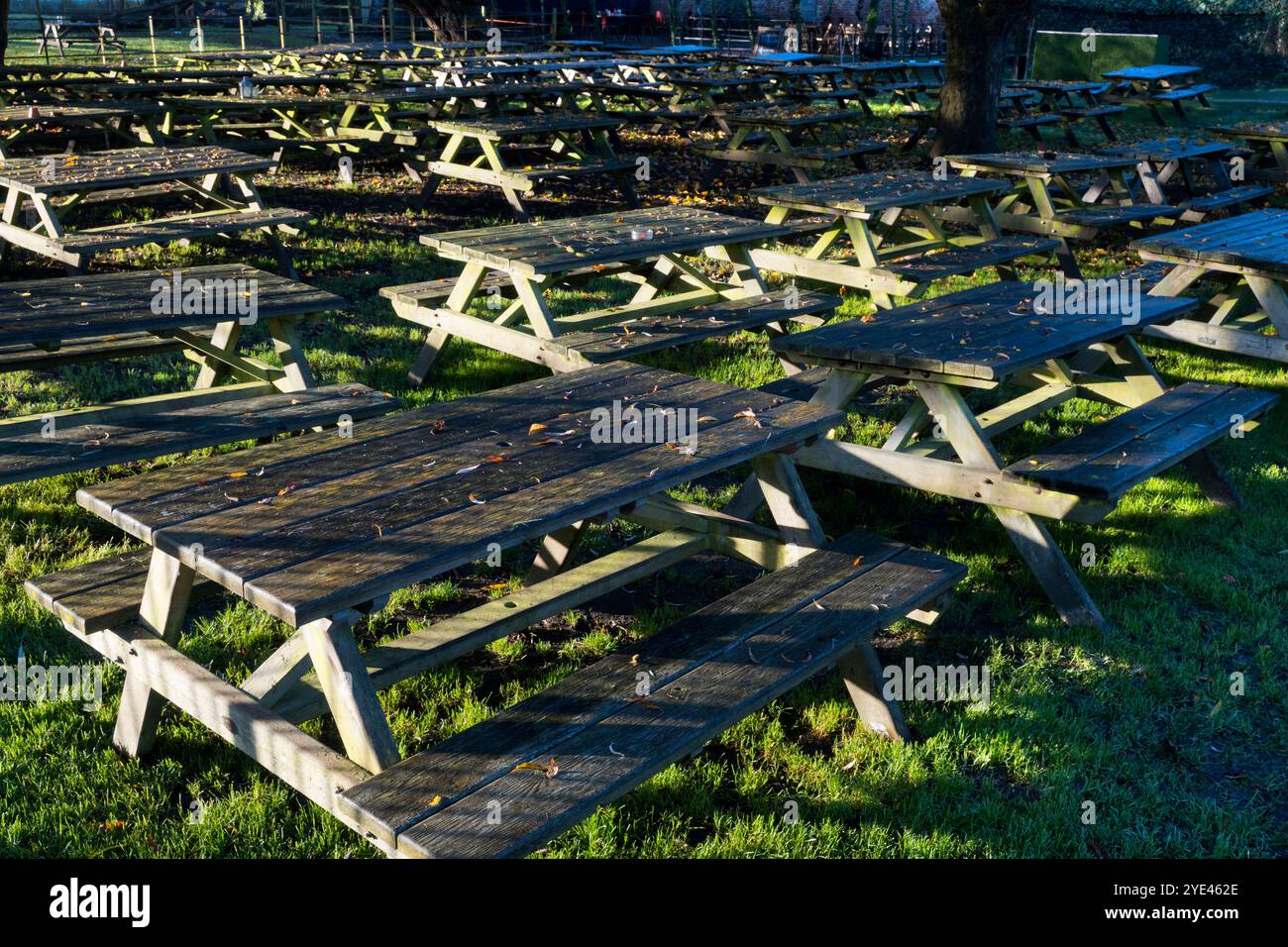 Shaded benches in the beer garden of a pub by the Thames at Iffley ...